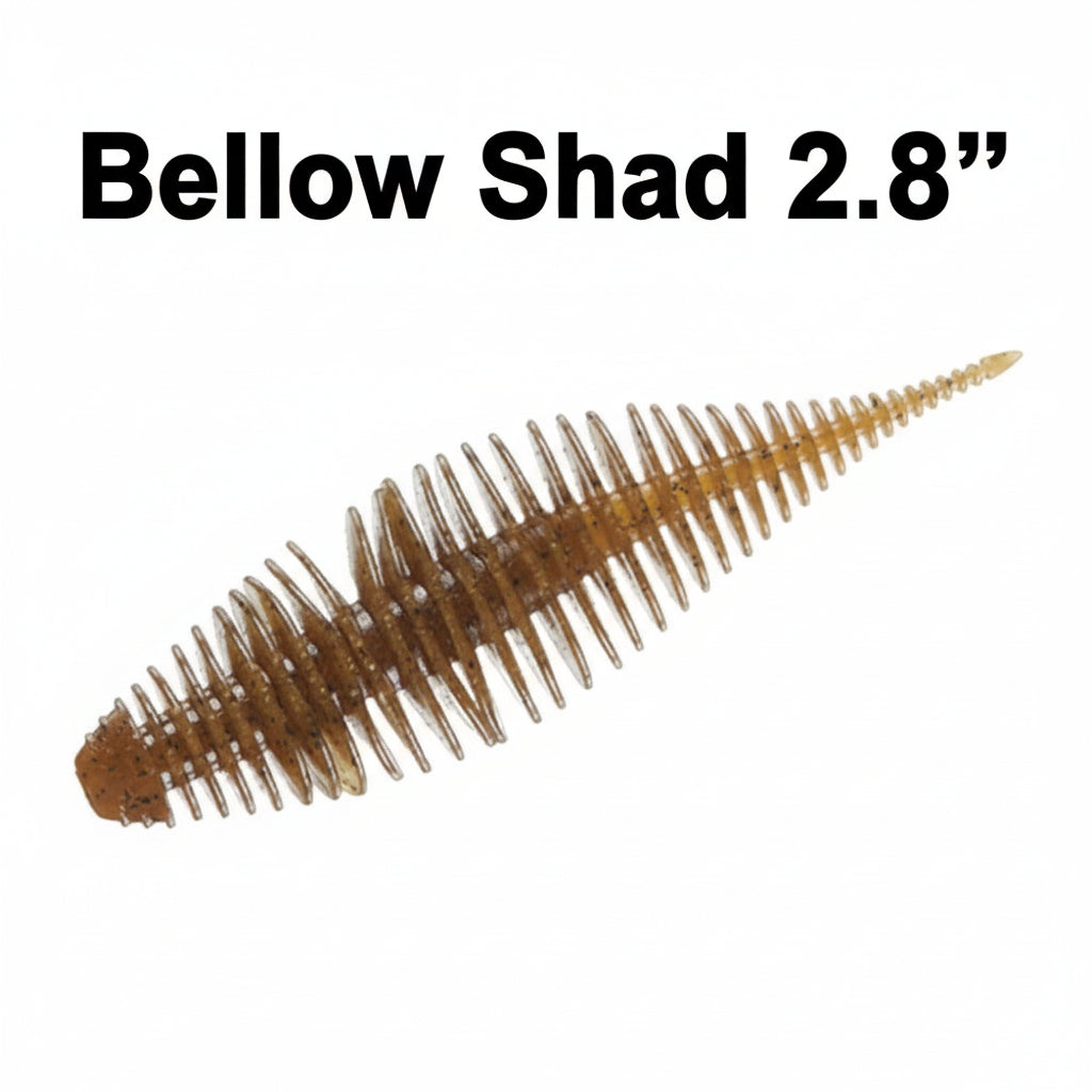 Bellows Shad 2.8" – Geecrack USA